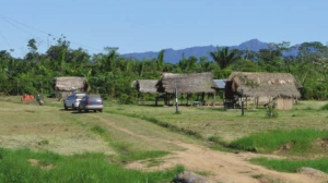 Bolivia: Desconocimiento de la realidad Tsimane pone en riesgo de ...